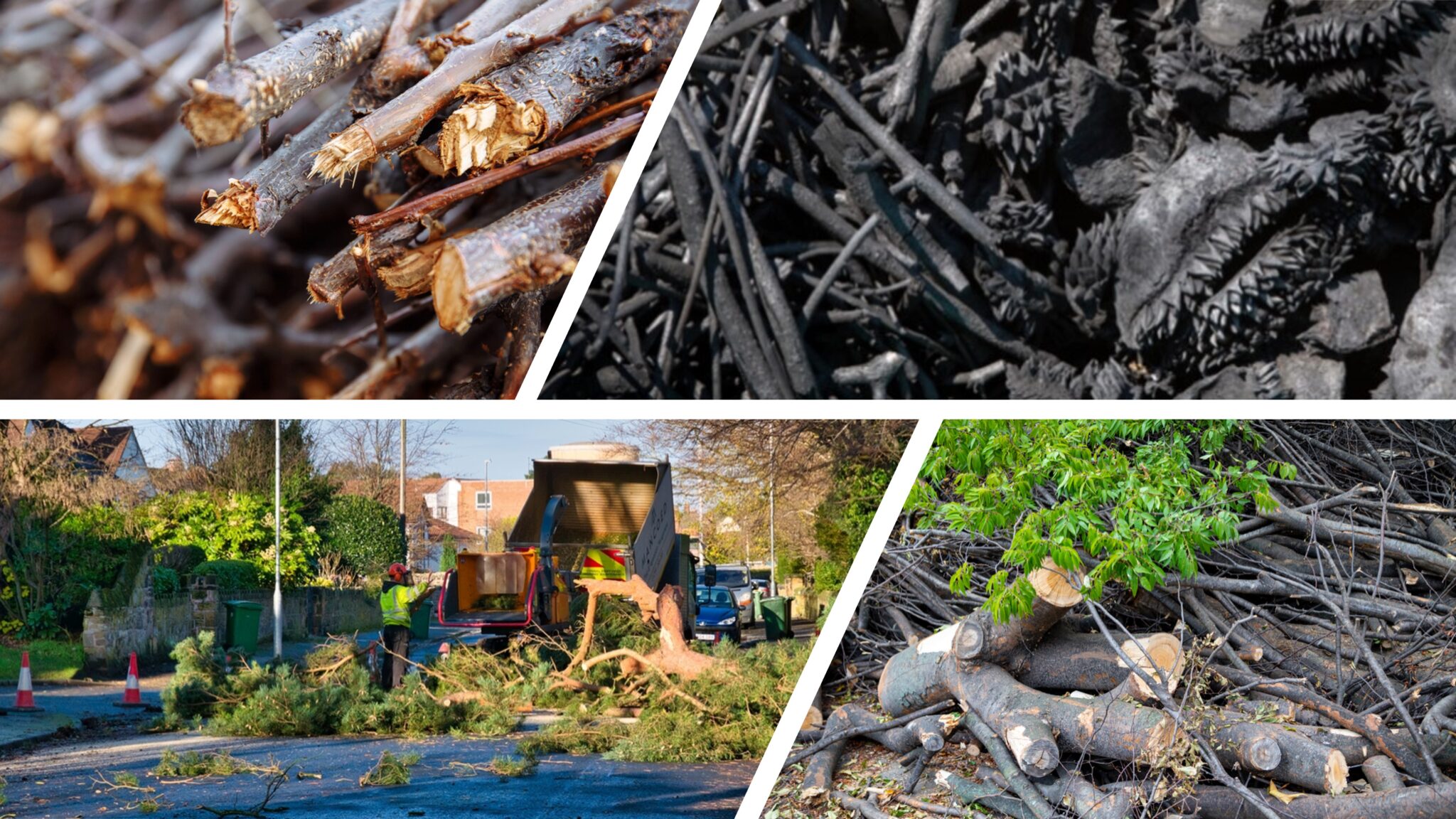 Biochar and Sustainable Materials Demonstrator - EBRI